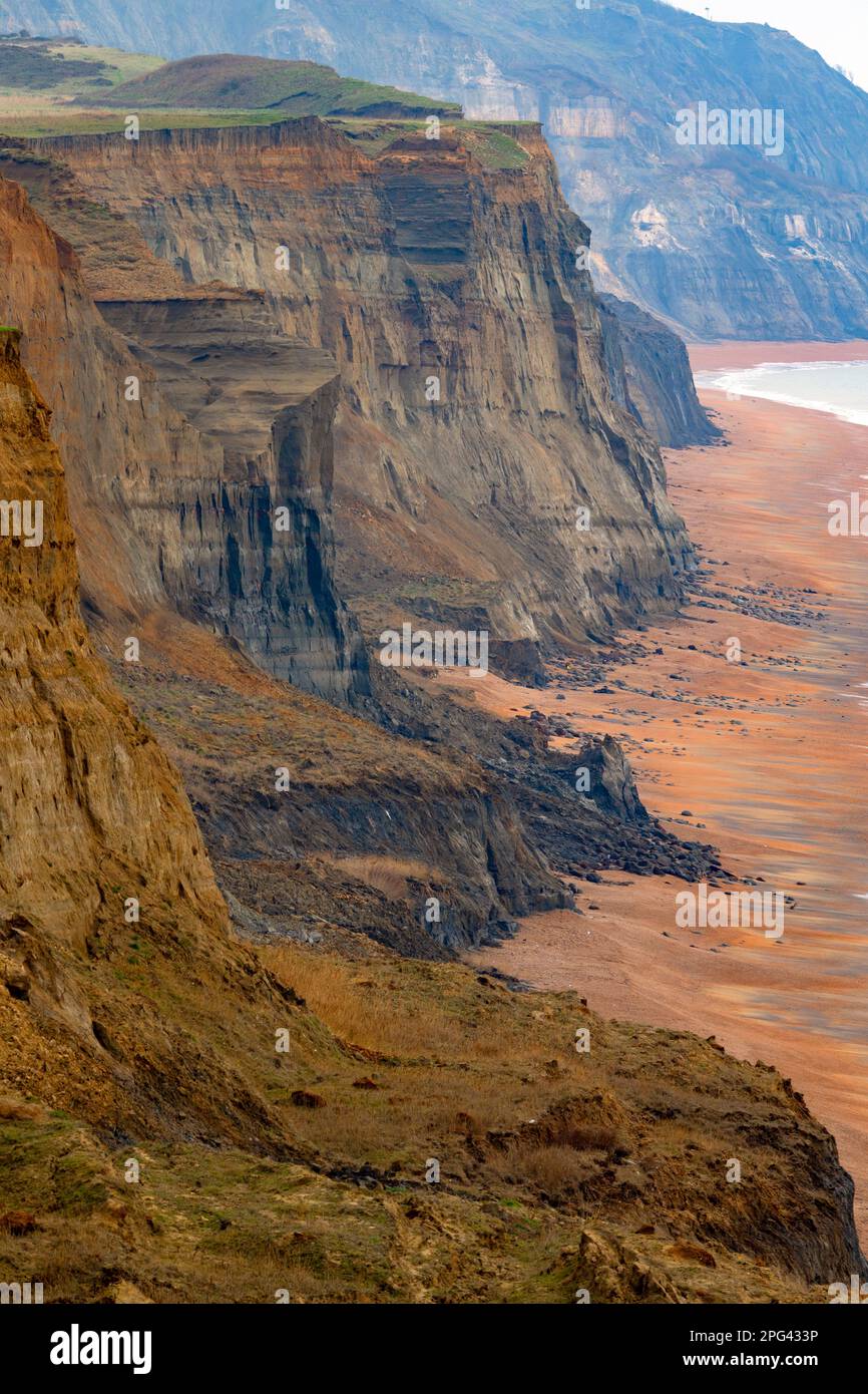 Erosion Cliffs Beach Fossil Fossils Jurassic Coast Coastal Sea Level