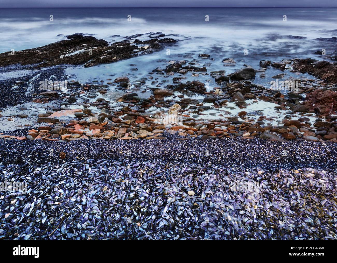 Blinkwater bay hi-res stock photography and images - Alamy