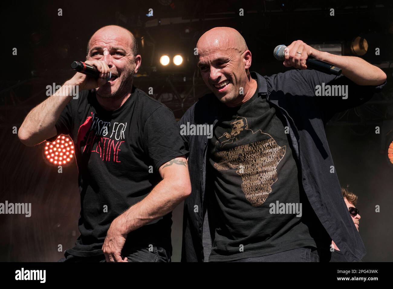 Zebda hi-res stock photography and images - Alamy