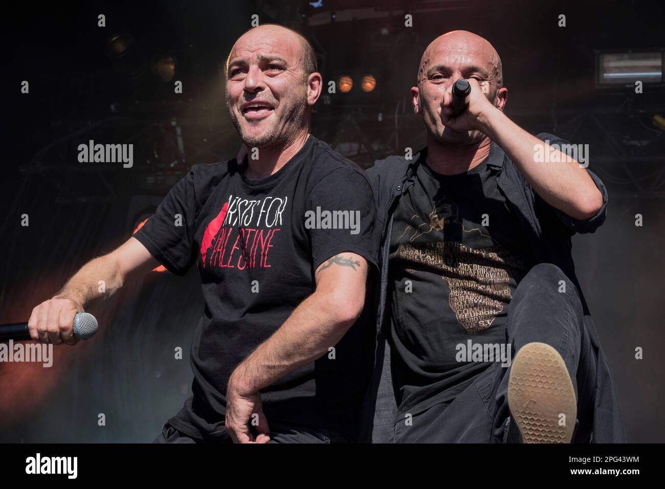 Zebda hi-res stock photography and images - Alamy