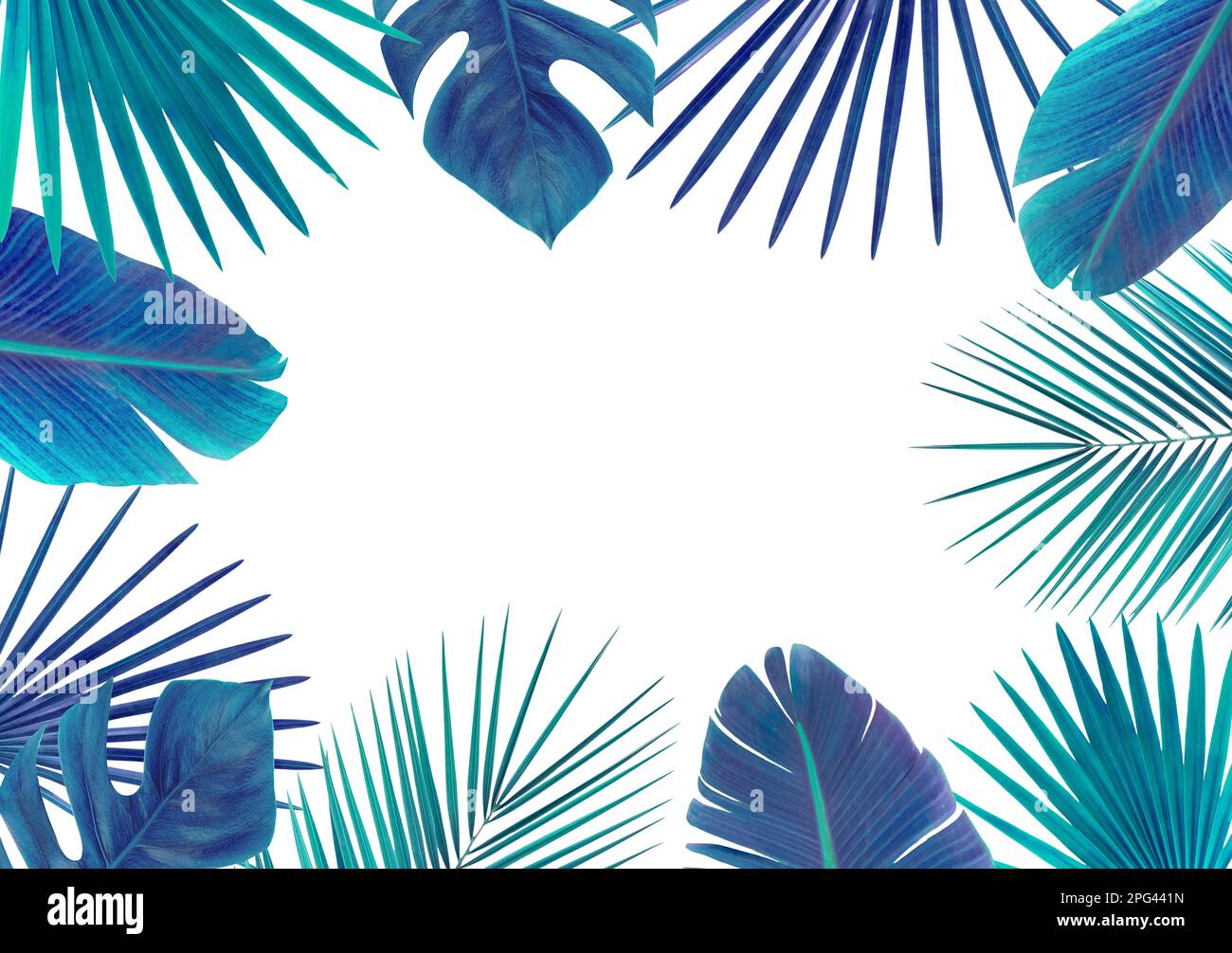 Frame with blue tropical leaves. Isolated on white Stock Photo - Alamy