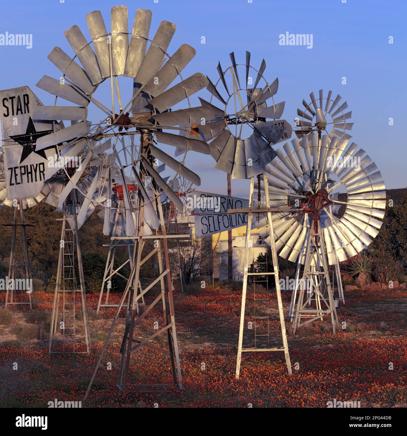The Windmill Museum in Loeriesfontein. Hantam Karoo Stock Photo - Alamy
