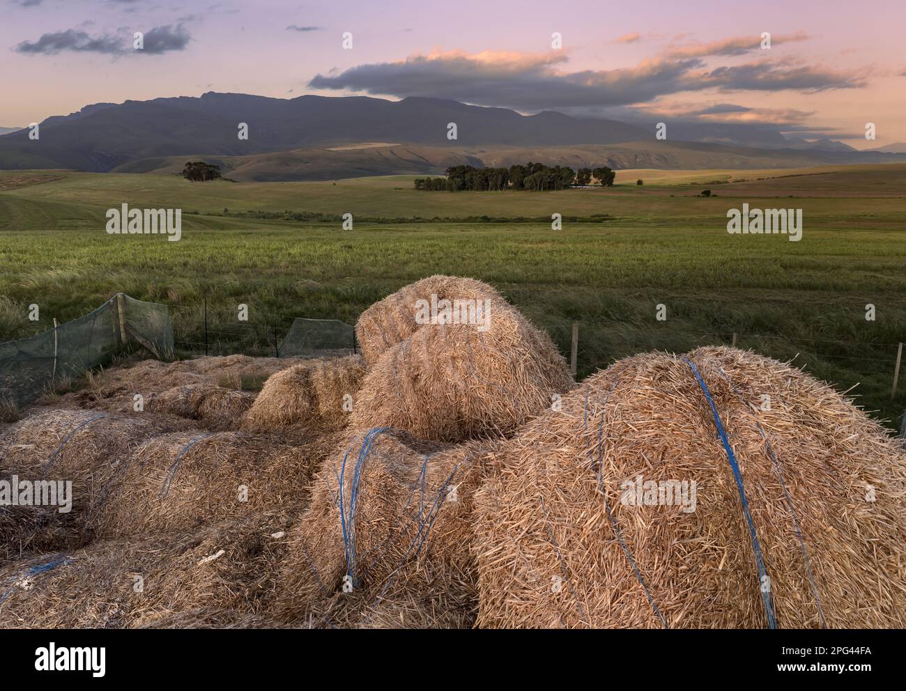 The last sunlight catch wheat bails and fields on the heights above the ...