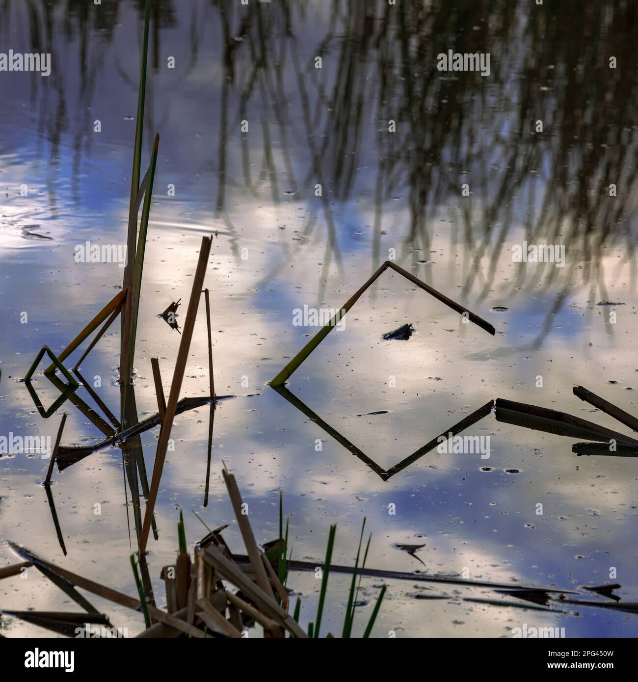 Clouds reflect in a farm dam in the town of Zoar Stock Photo - Alamy