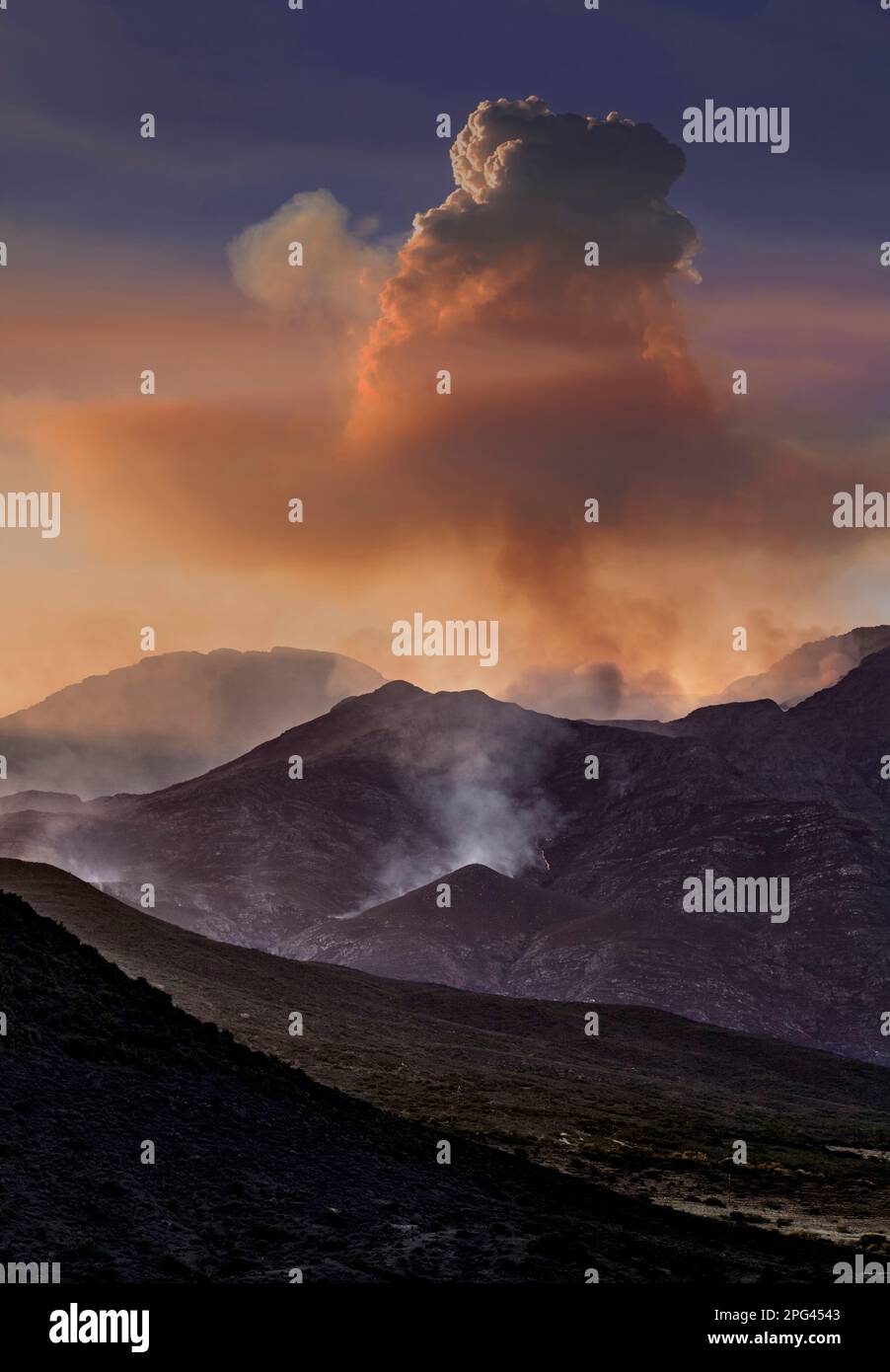 Towerkop nature reserve hi-res stock photography and images - Alamy