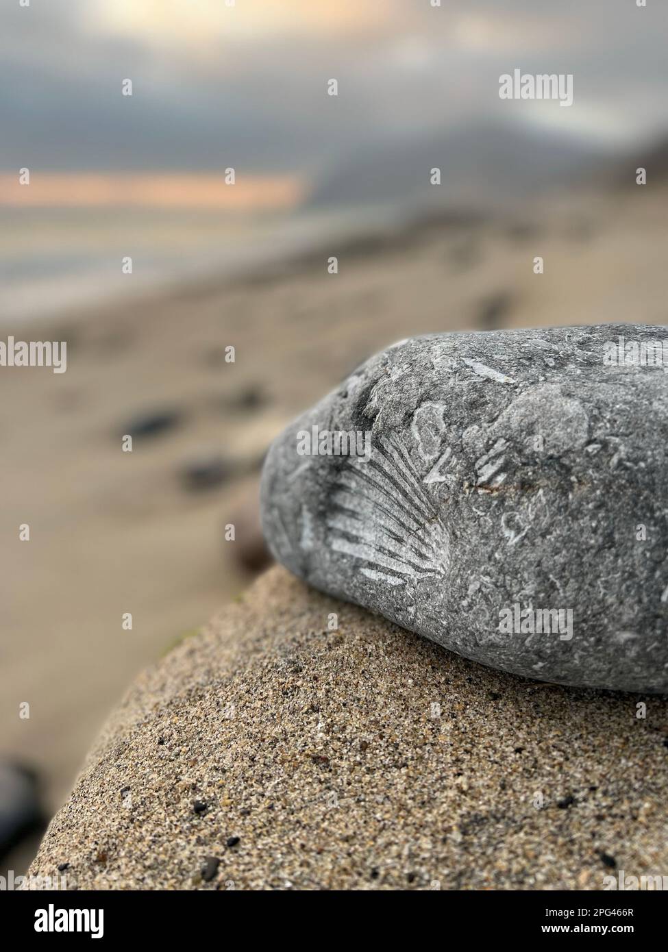 A weathered stone, half of which is missing, laying on the beach near ...