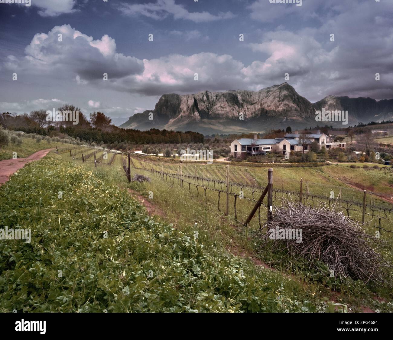 The Tokara wine cellars and restaurant with the Franschhoek mountains ...