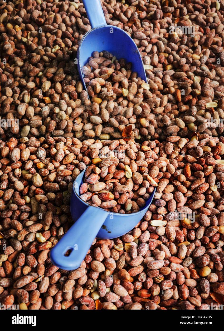 Peanuts for sale in a amrket in the Marrakesch Modena near Place Jemaa ...