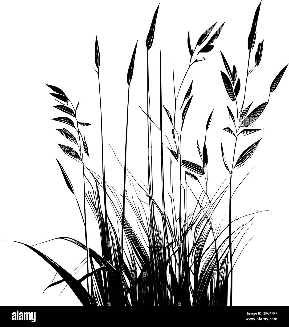 Monochrome image of a plant on the shore near a pond.Image of a ...