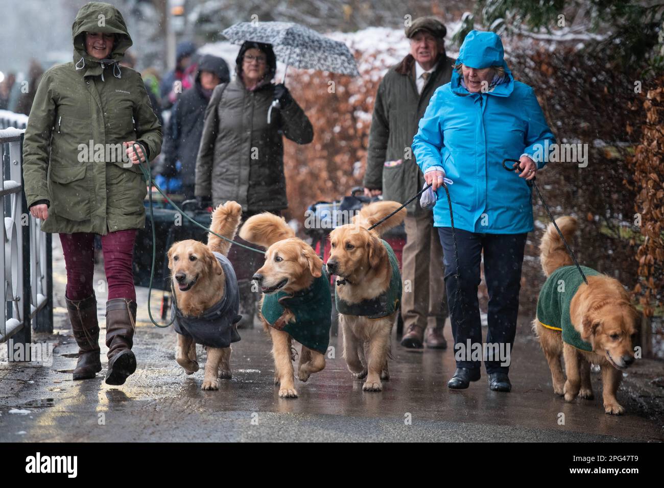NEC, Birmingham, UK. 9th March 2023. Braving the snow, canines of all ...