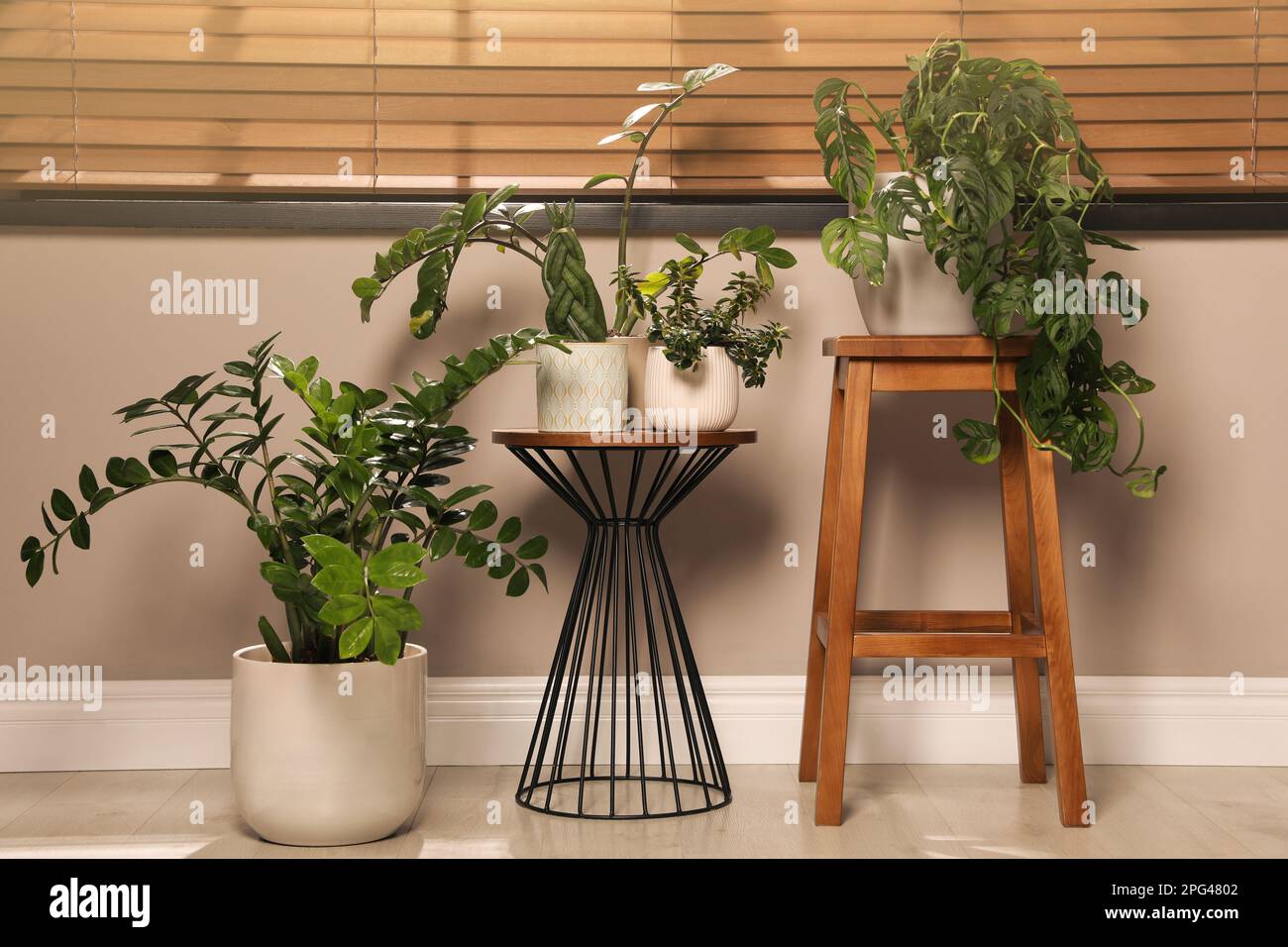 Different houseplants on floor near window. Interior design Stock Photo ...