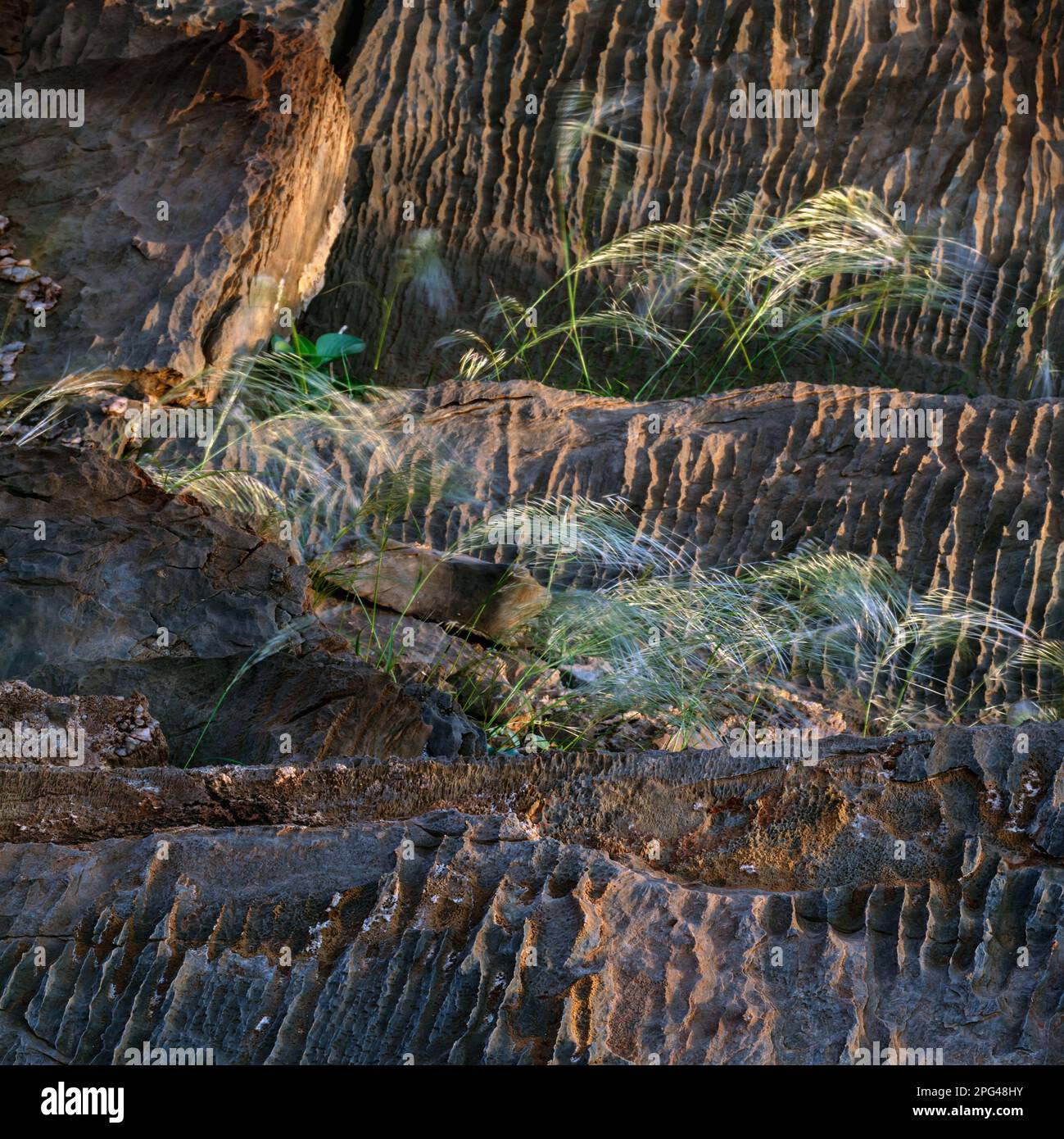Rocks and grass in the Brand-West Mountains of Namibia Stock Photo - Alamy