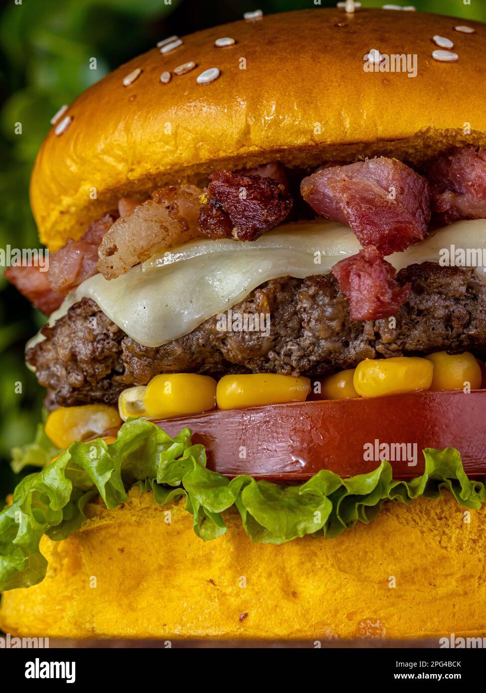 A delicious cheeseburger served with freshly-sliced tomatoes and corn ...
