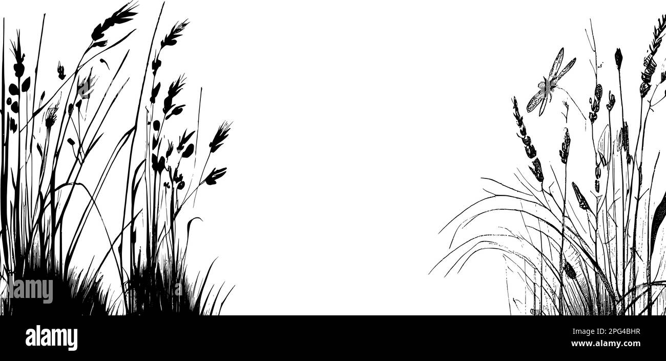 A pond near the park Stock Vector Images - Alamy