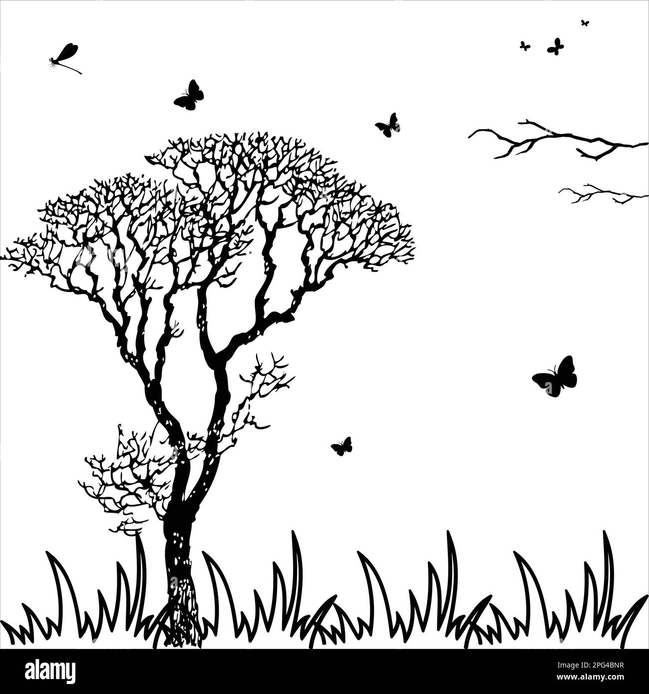Clipart Black And White Nature