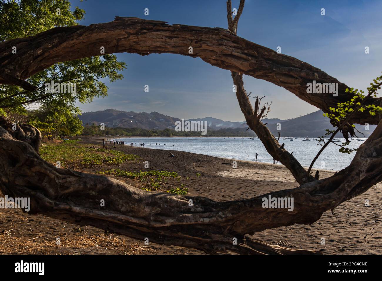 A sand beach in Costa Rica with horizonal tree trunks framing the top ...