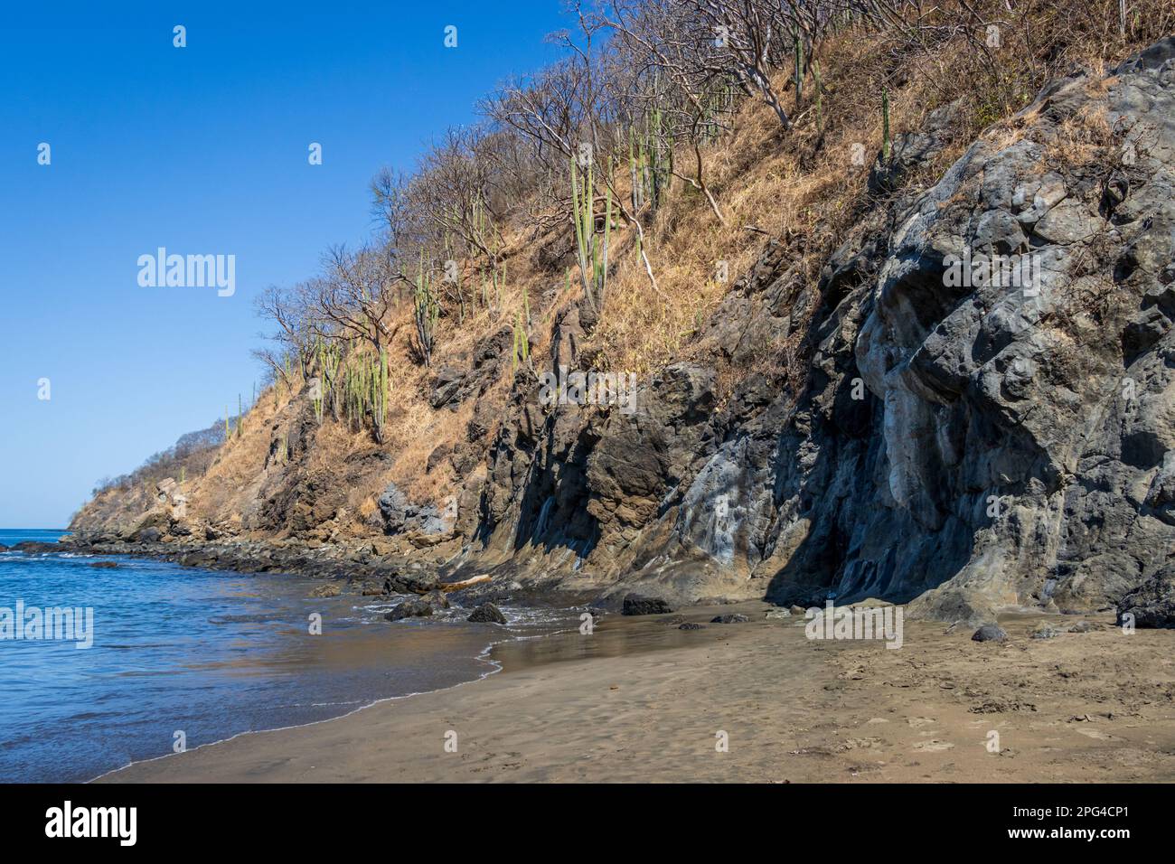 An image of a rocky shoreline in Costa Rica with cactuses and trees ...