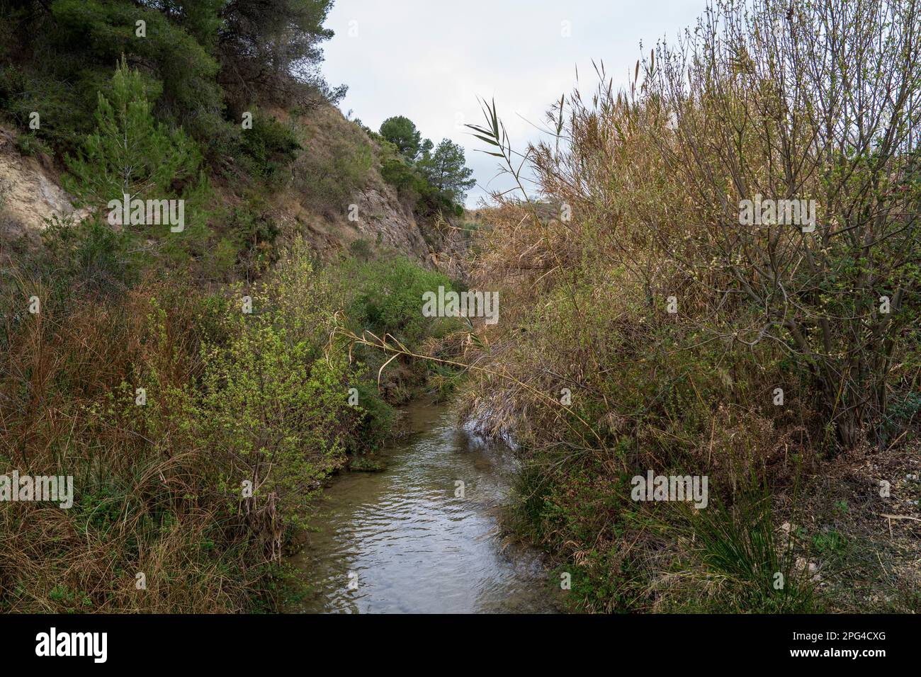 landscape route hiking bullas salto del usero Stock Photo - Alamy