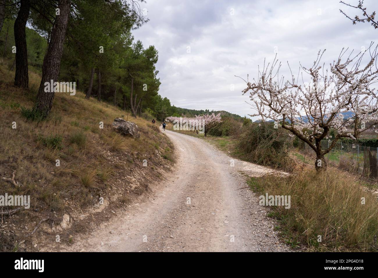 landscape route hiking bullas salto del usero Stock Photo - Alamy