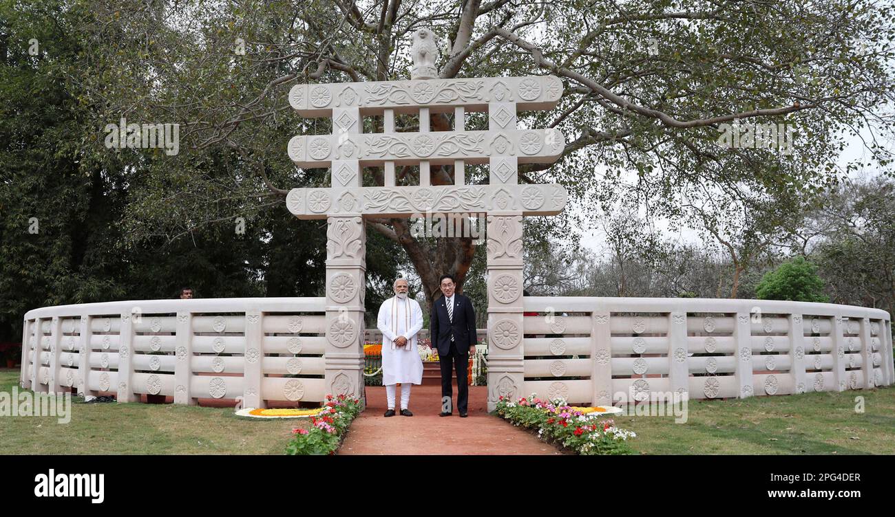 Bal bodhi tree hi-res stock photography and images - Alamy