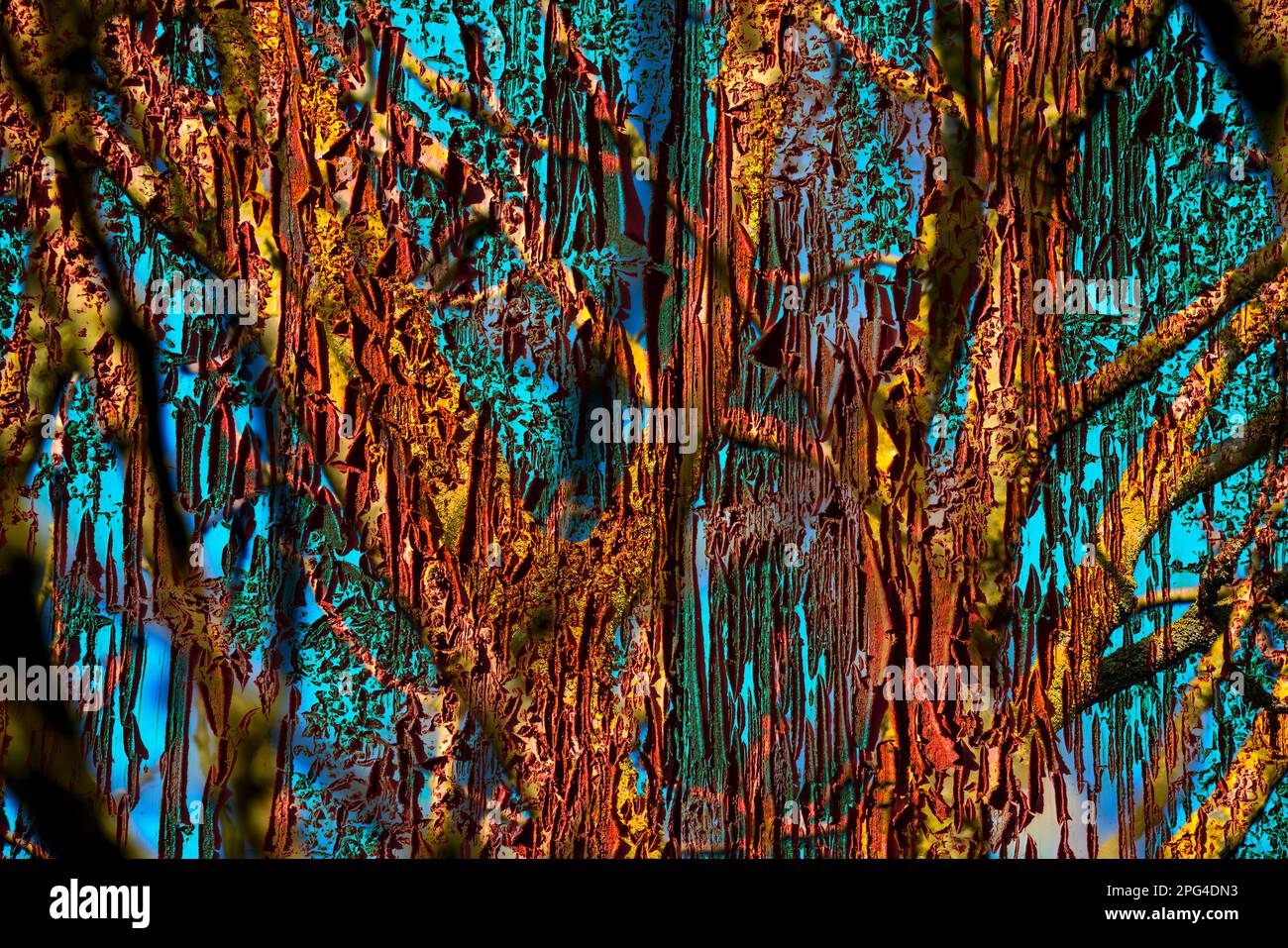 double exposure, trees and a wheathered red door Stock Photo - Alamy