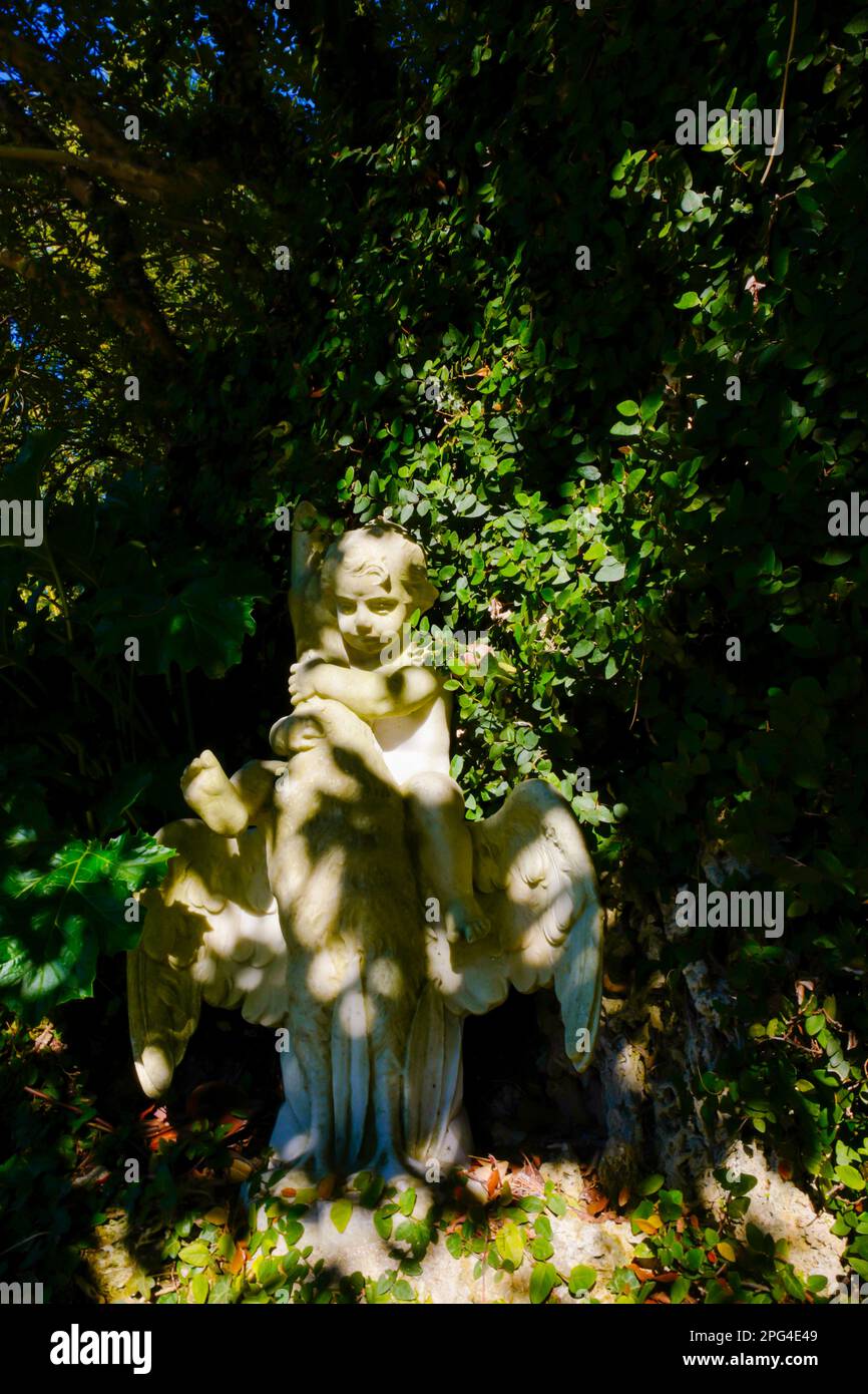 Angel Statue in the Forest with Sunlight in Switzerland Stock Photo - Alamy