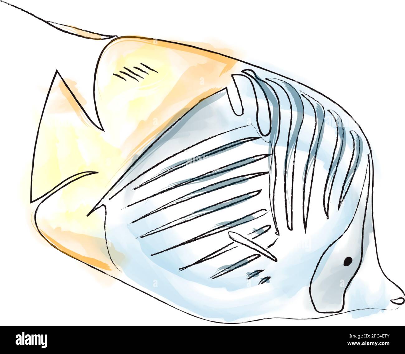 Watercolors fish Stock Vector Images - Alamy
