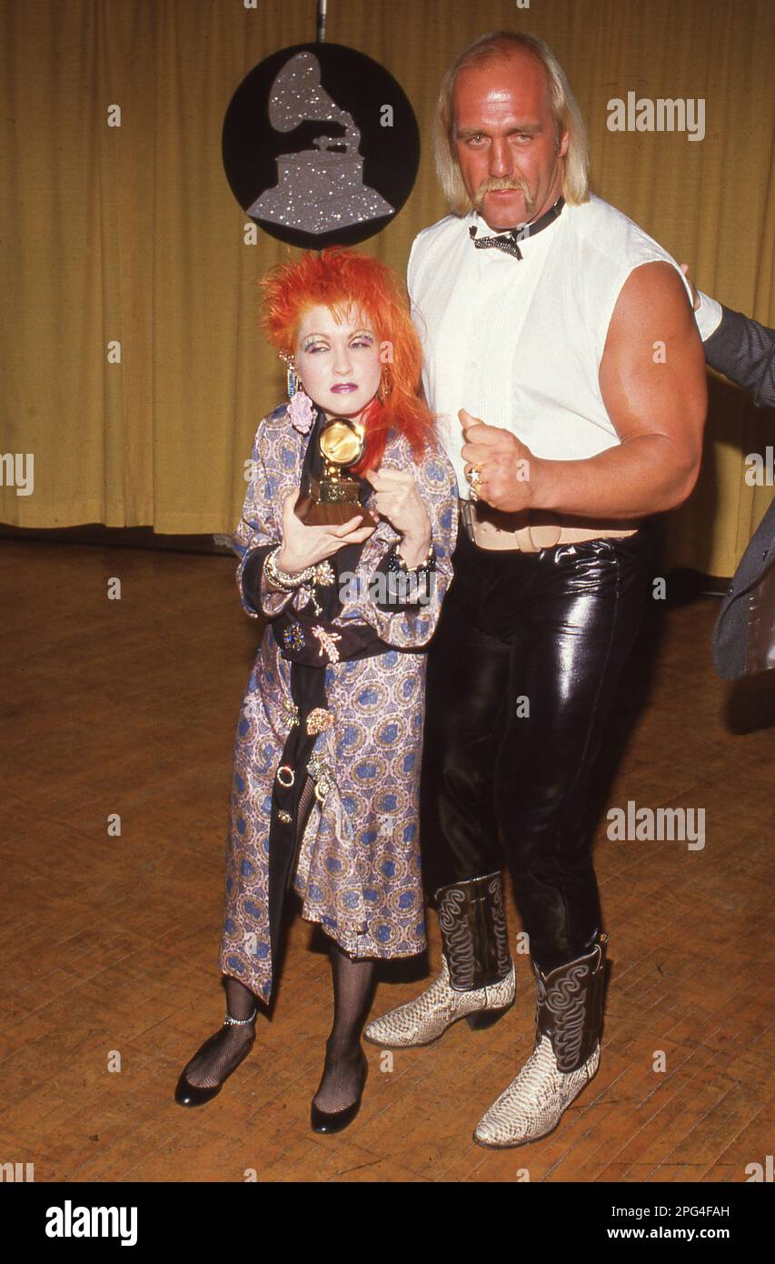 Cyndi Lauper And Hulk Hogan Shop | www.valleyglass.com