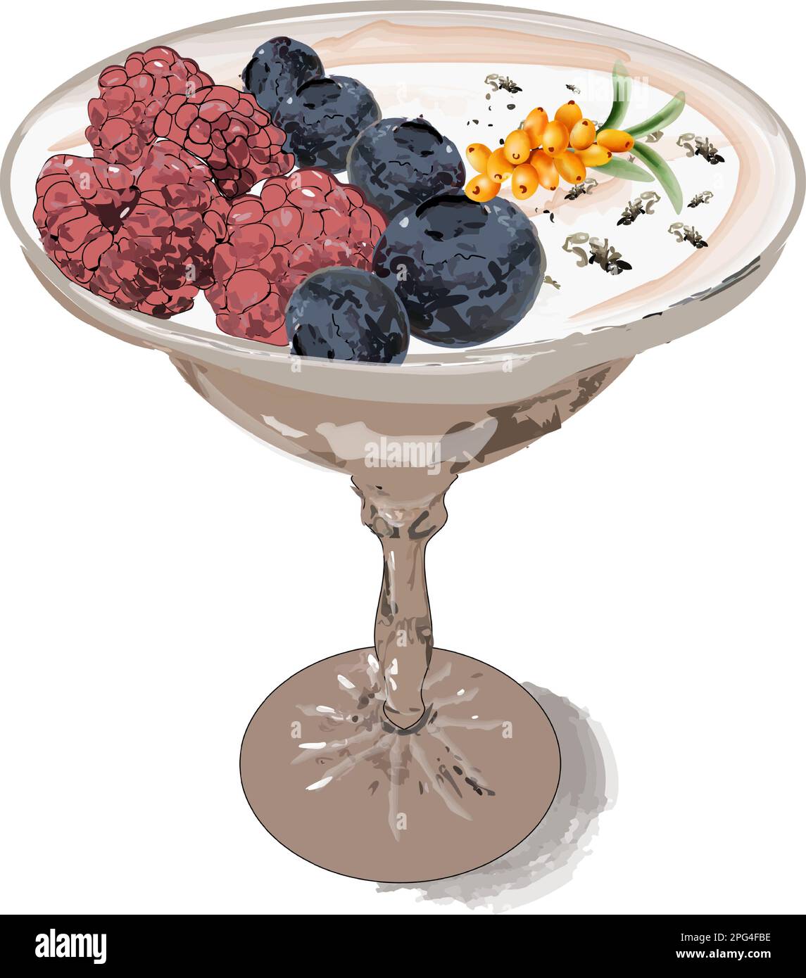 Panna cotta dessert in a glass with berry fruits vector. Vintage retro ...