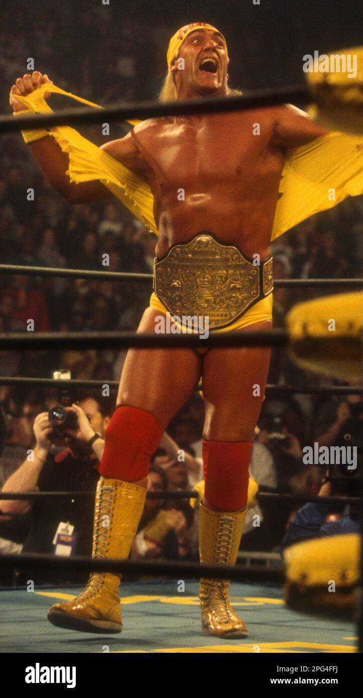 Hulk Hogan 1986John Barrett/PHOTOlink.net / MediaPunch Stock Photo - Alamy