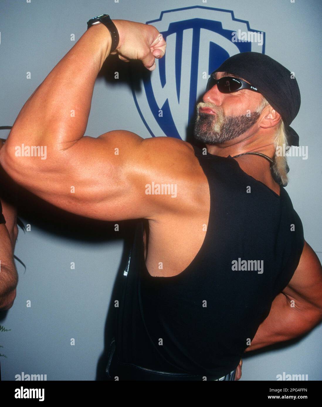 Hulk Hogan 1997John Barrett/PHOTOlink.net / MediaPunch Stock Photo - Alamy