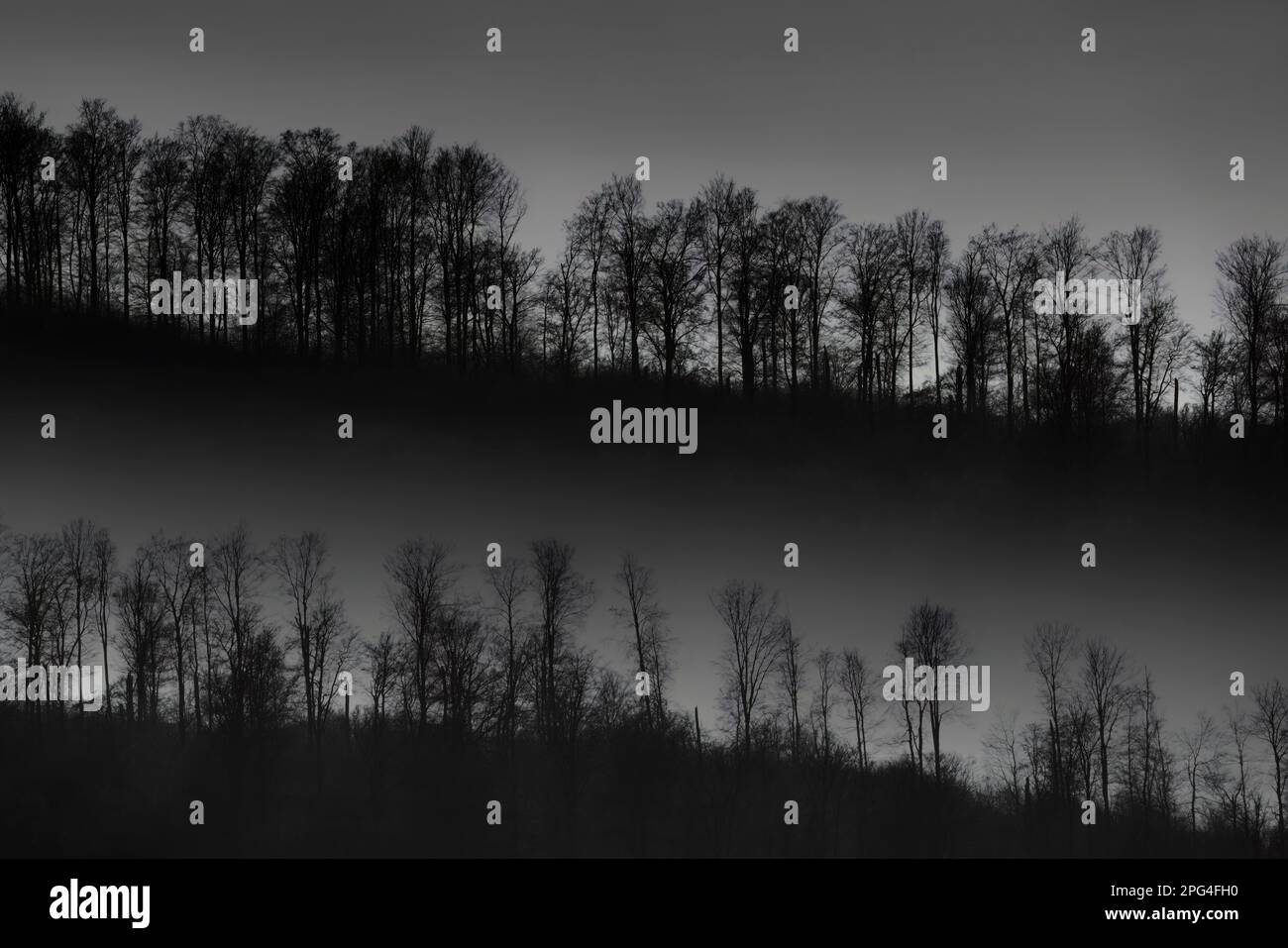 Digitally altered landscape with trees, Wesertal, Weserbergland ...