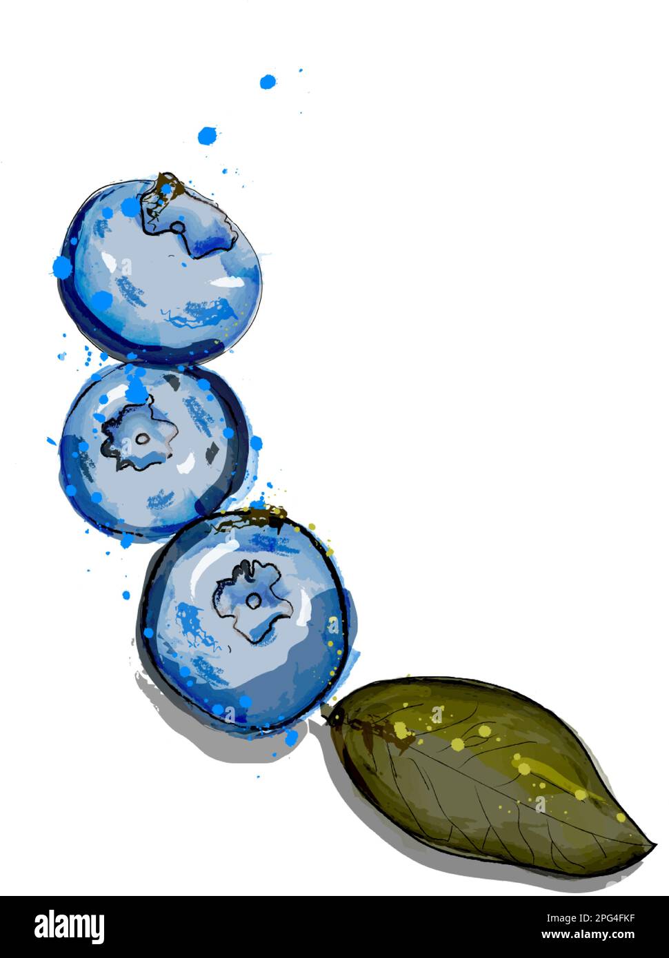 Blueberry vector watercolor fruits with juicy splash color Stock Vector ...