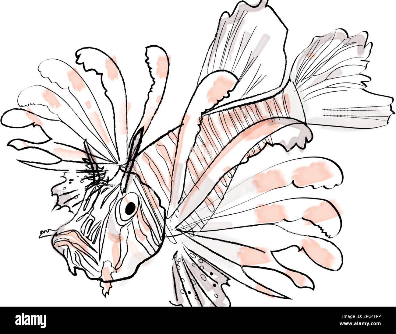 Watercolor fishing Stock Vector Images - Alamy