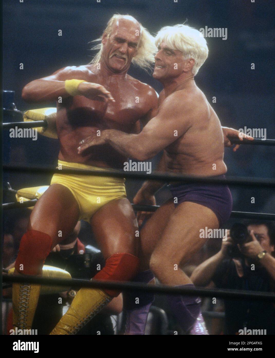 Hulk Hogan vs. Ric Flair, 1990 Photo By John Barrett/PHOTOlink /MediaPunch Stock Photo - Alamy