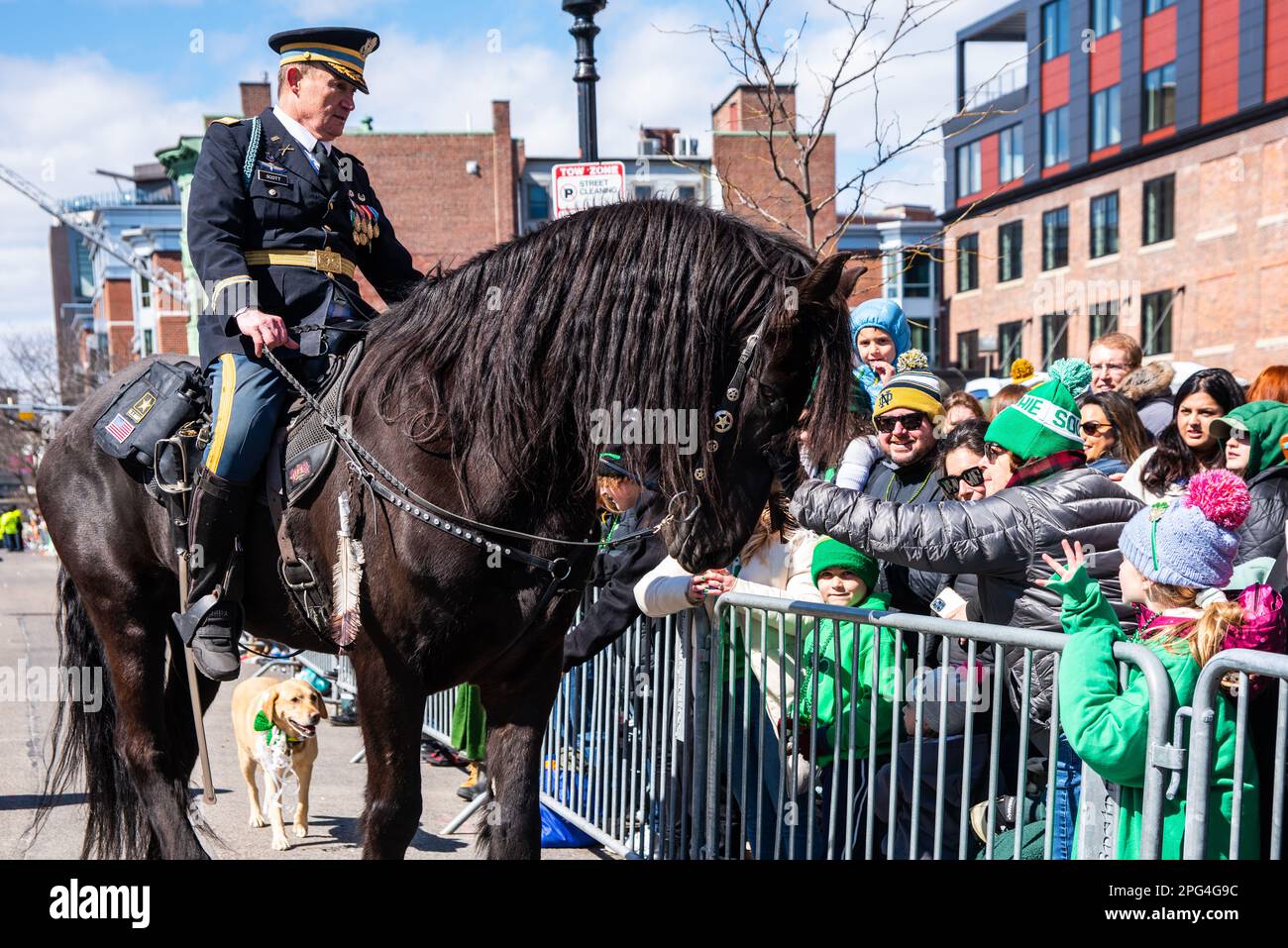 U s army hercules friesian of the netherlands hi-res stock photography ...