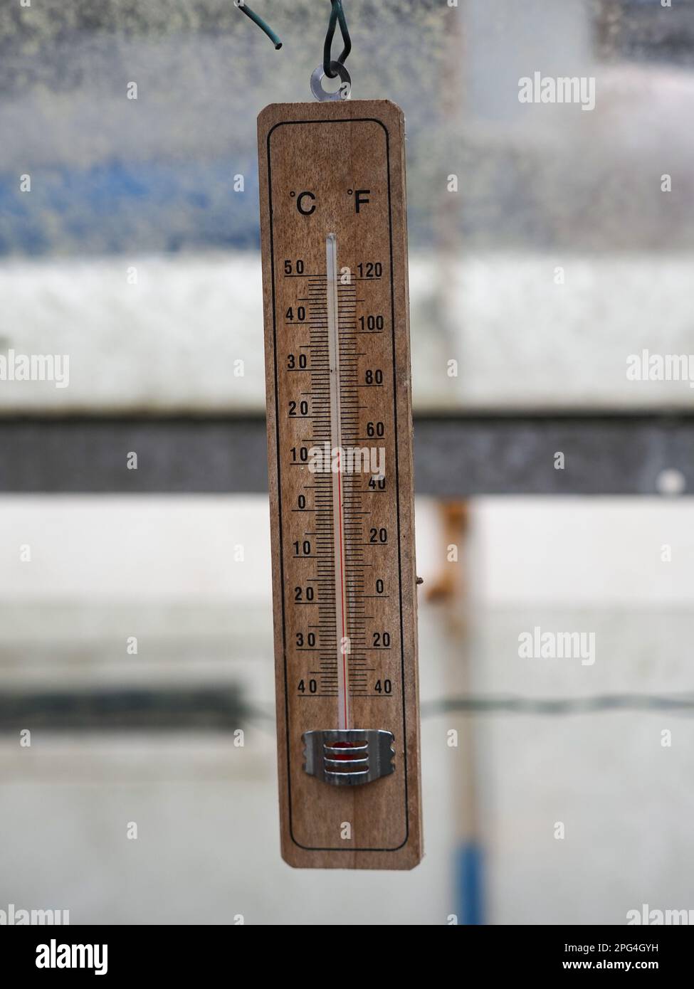 wooden and glass temperature thermometer hanging in a glass green house ...
