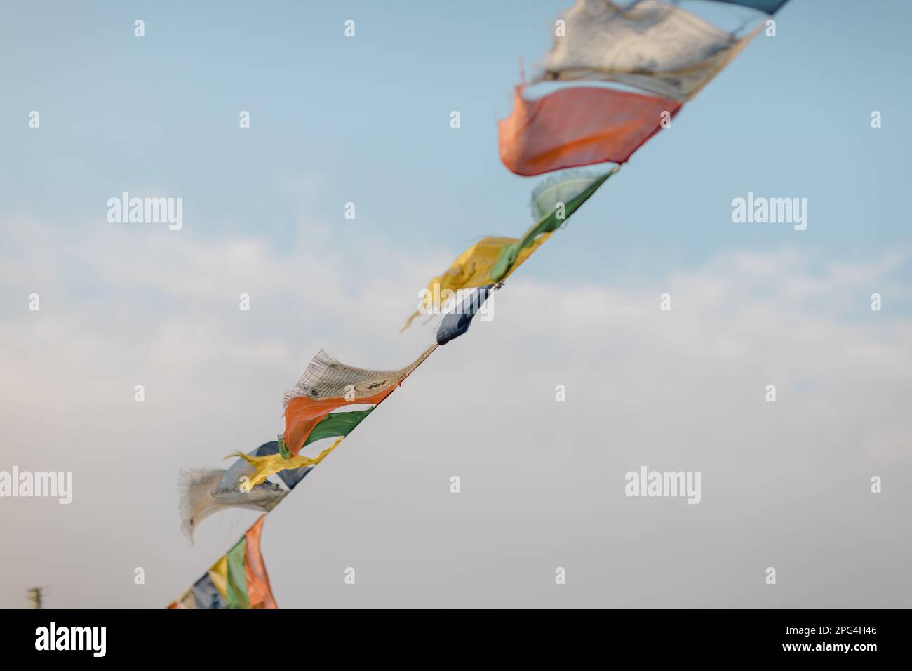 A dynamic scene featuring a colorful array of flags fluttering in the ...