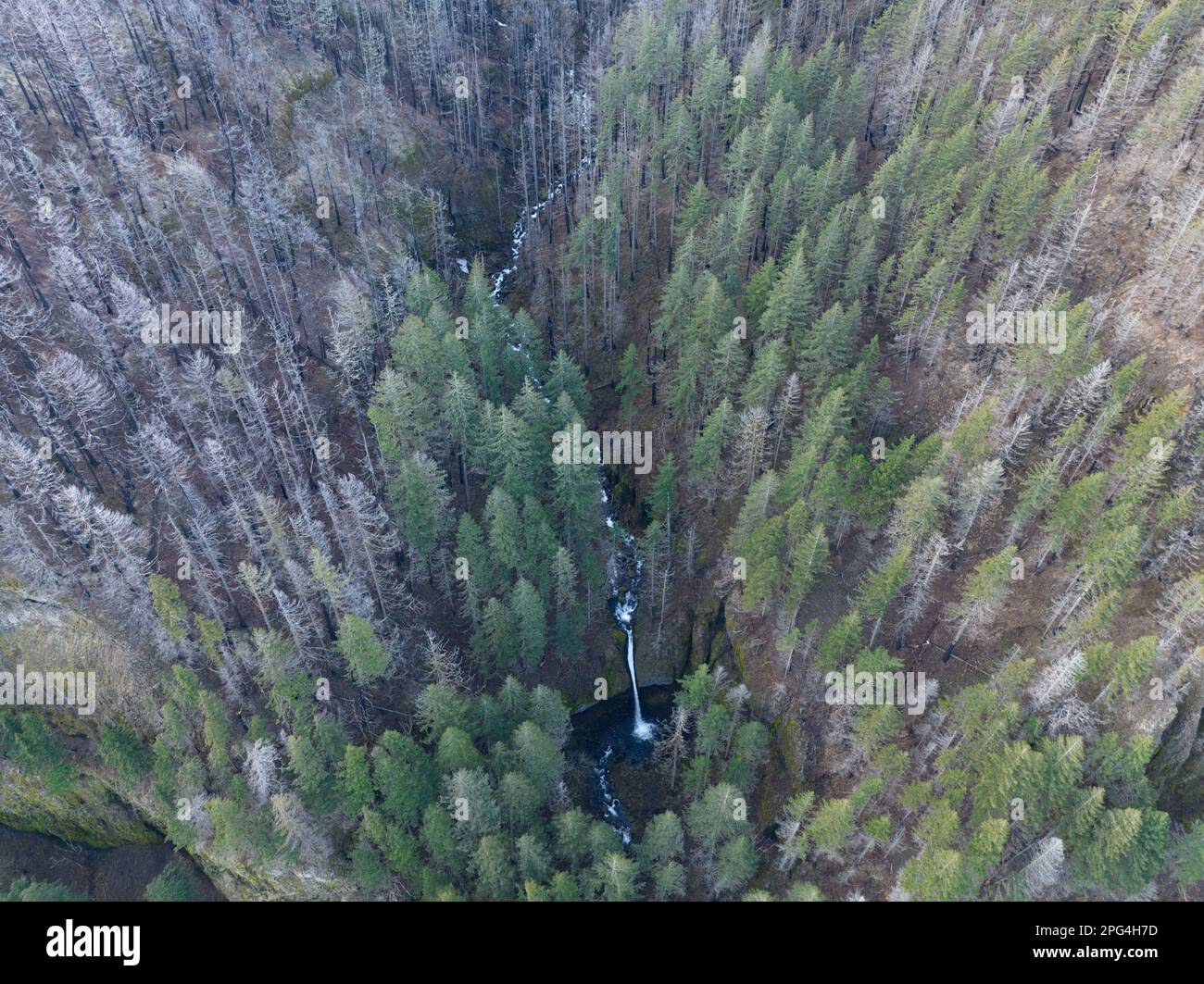 The beautiful Horsetail Falls is located on the Oregon side of the ...
