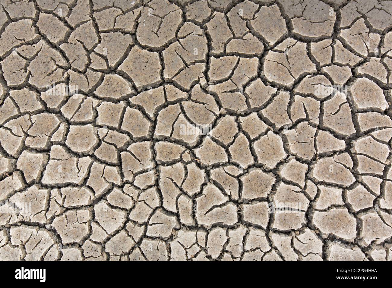 Abstract pattern of dry cracked mud in dried up wetland caused by ...