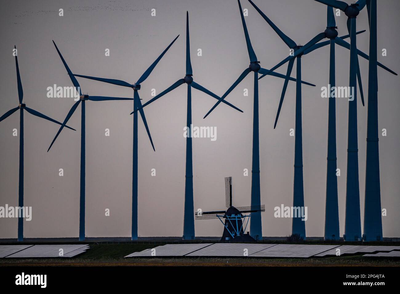 Windmill Poldermolen De Goliath stands between the high-tech wind ...