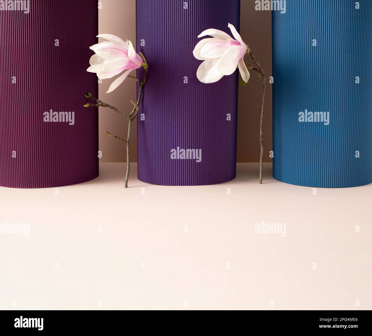 Three corrugated cardoard columns with two fresh magnolia branches with ...