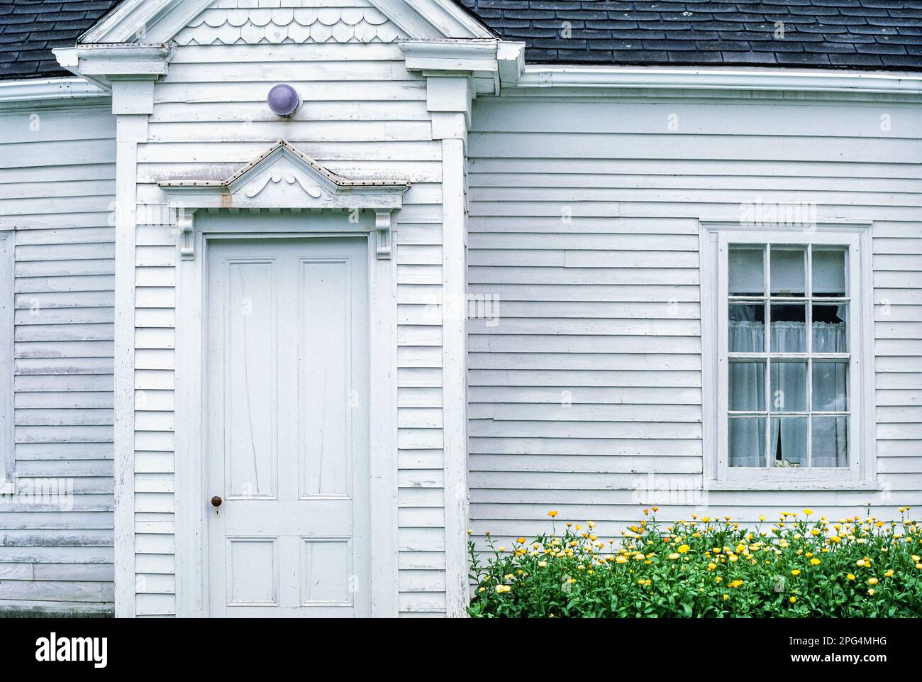 Door and window of classic white clapboard farmhouse with decorative ...