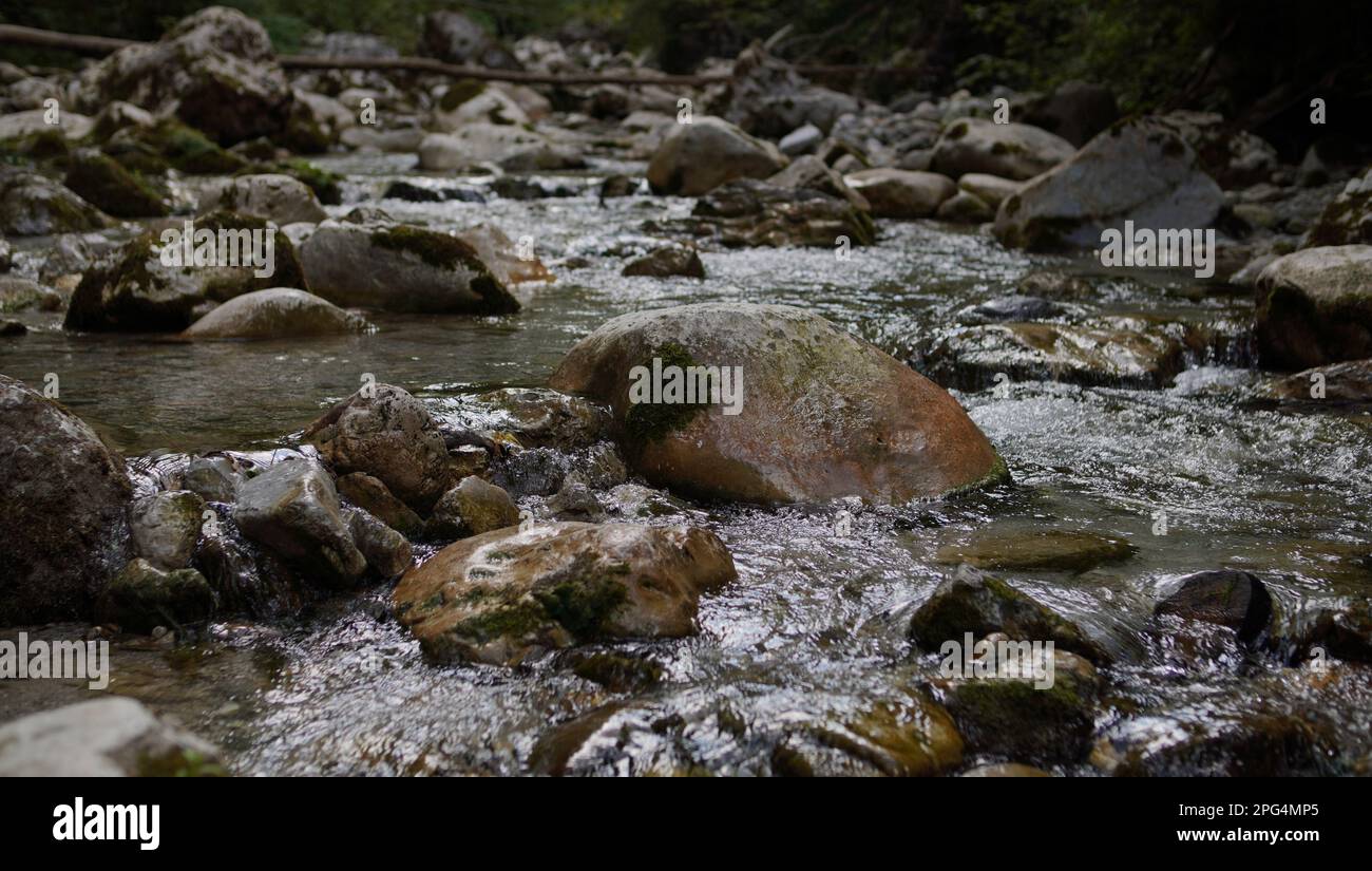 Nature's symphony: The tranquil beauty of a rocky riverbed Stock Photo ...