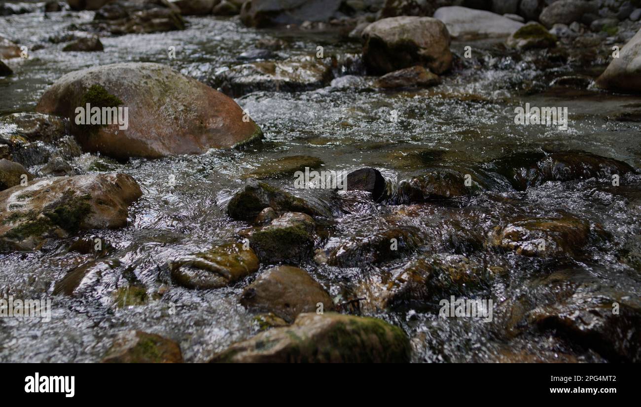 Nature's symphony: The tranquil beauty of a rocky riverbed Stock Photo ...