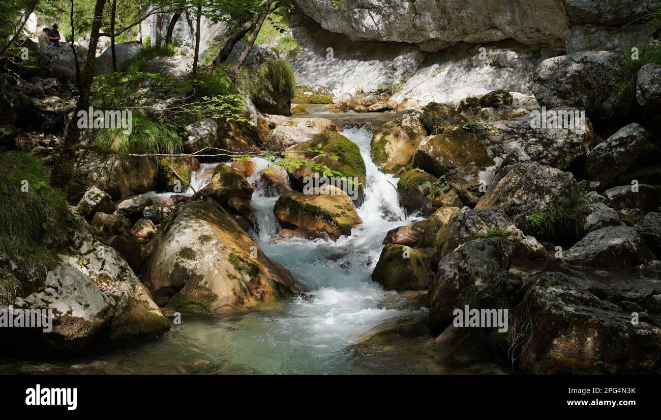 Nature's symphony: The tranquil beauty of a rocky riverbed Stock Photo ...