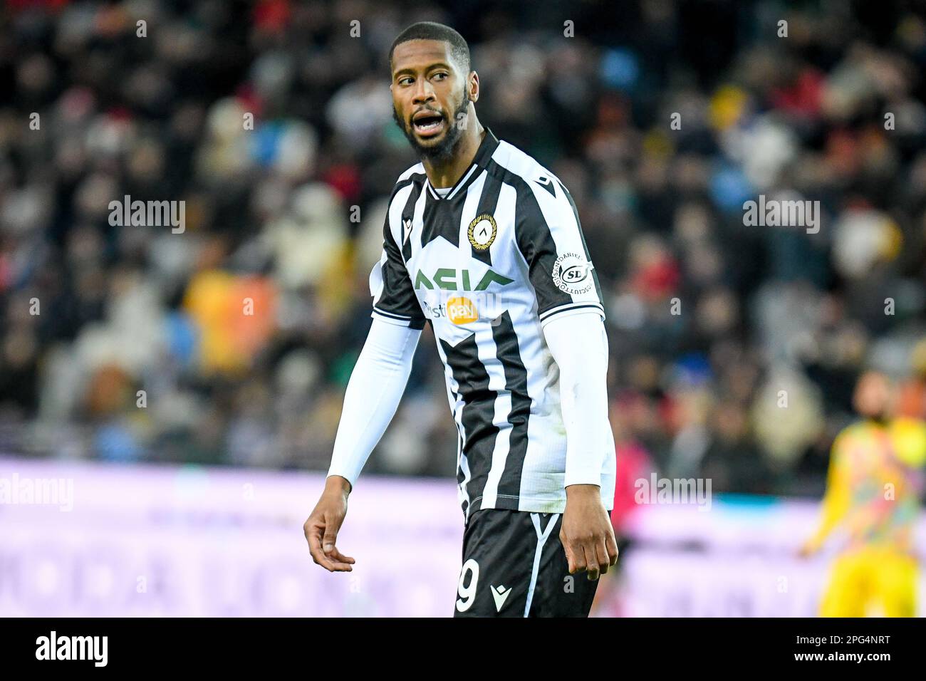 Friuli - Dacia Arena stadium, Udine, Italy, February 26, 2023, Udinese ...