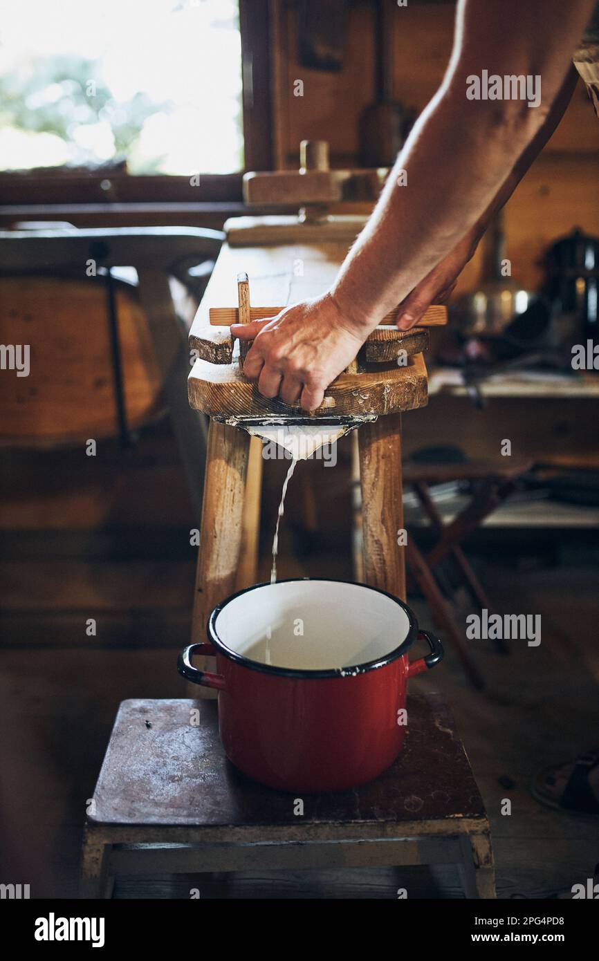 Cheese making. Person making cottage cheese using cheese press and ...