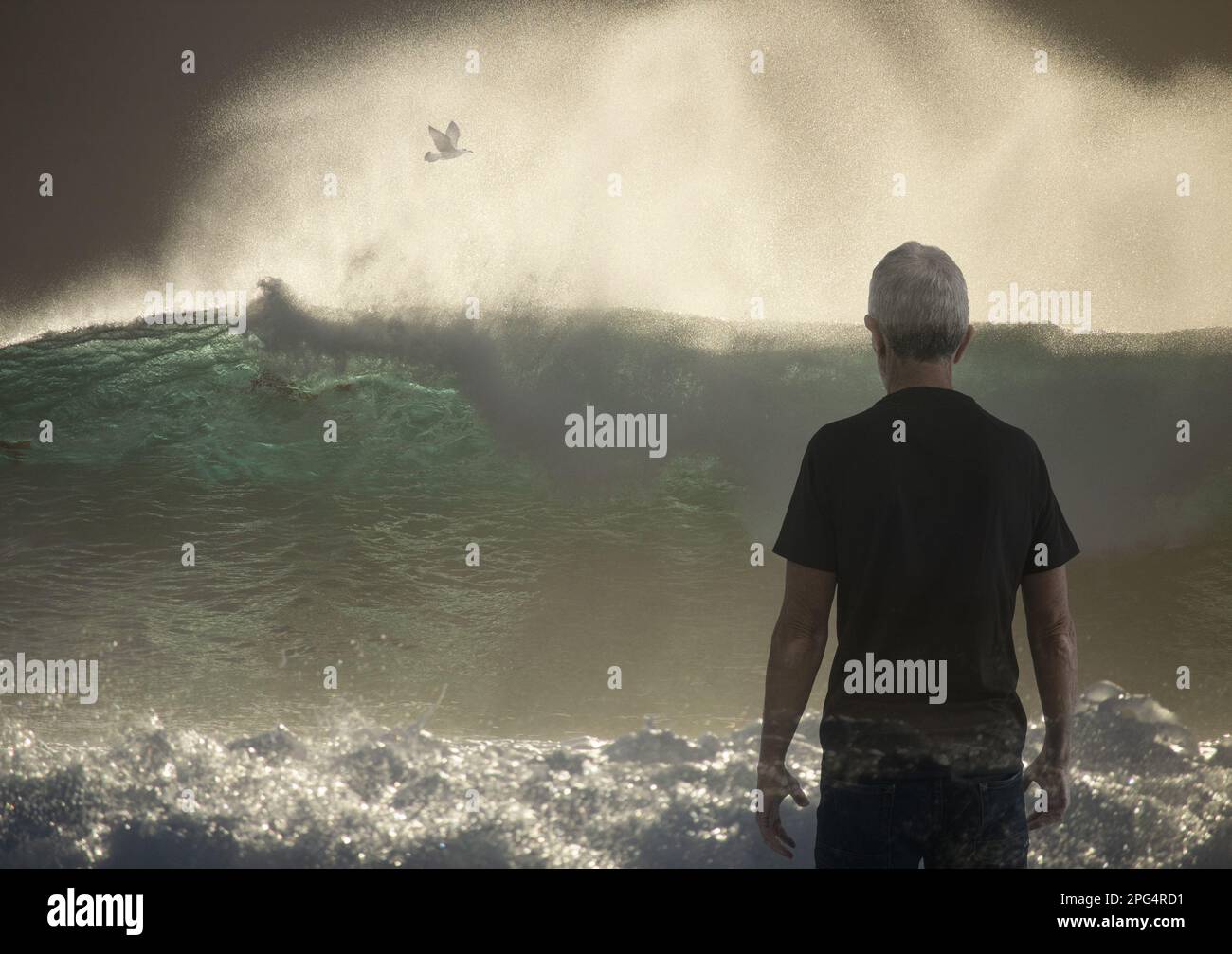 Rear view of man with bird flying over huge breaking wave. Concept ...
