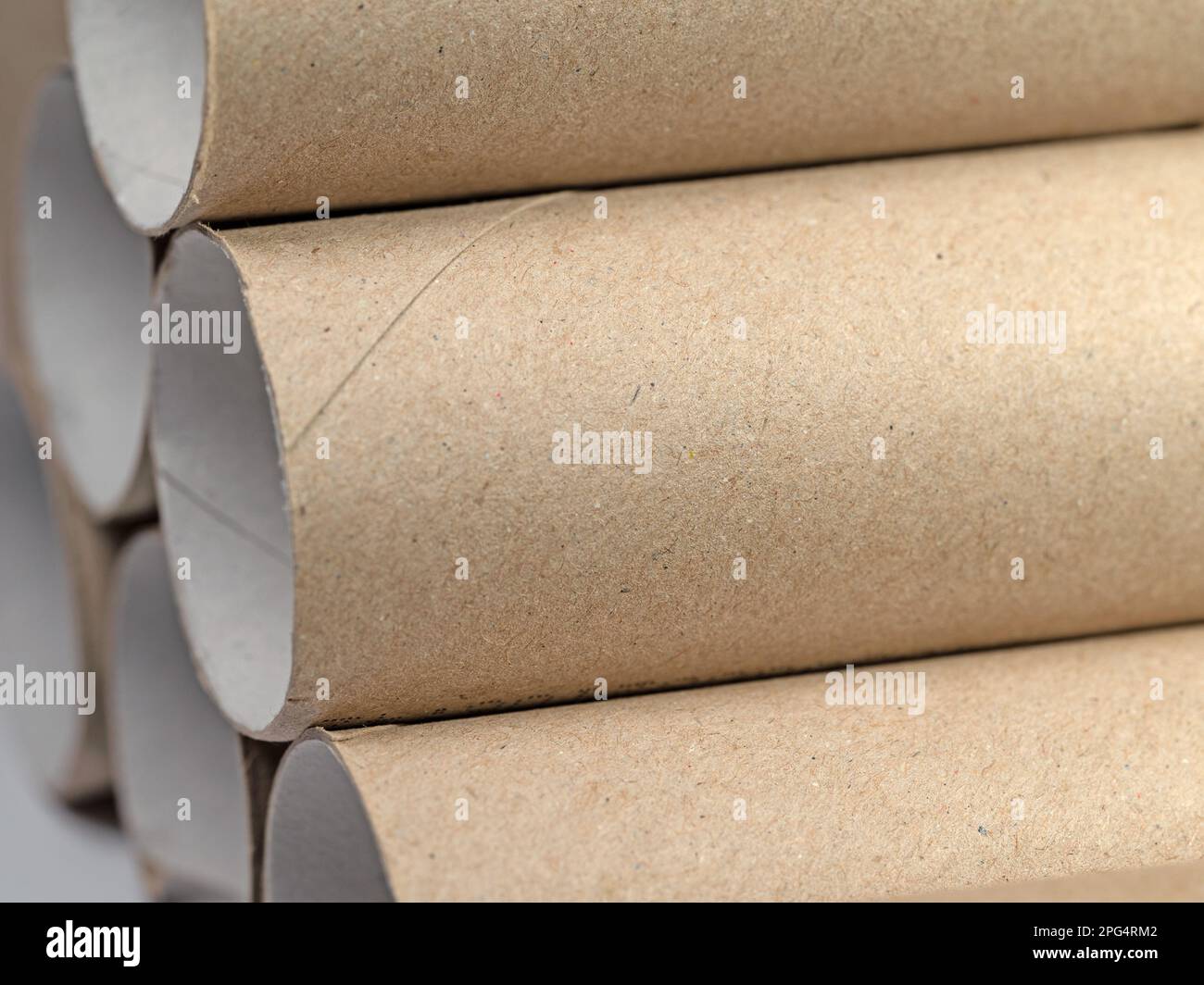 A lot of empty cardboard tubes from toilet paper Stock Photo - Alamy